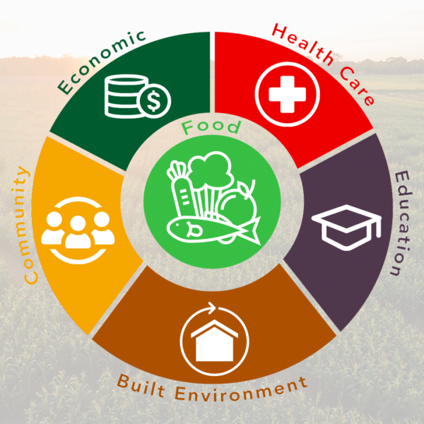 Insights - Abound Food Care